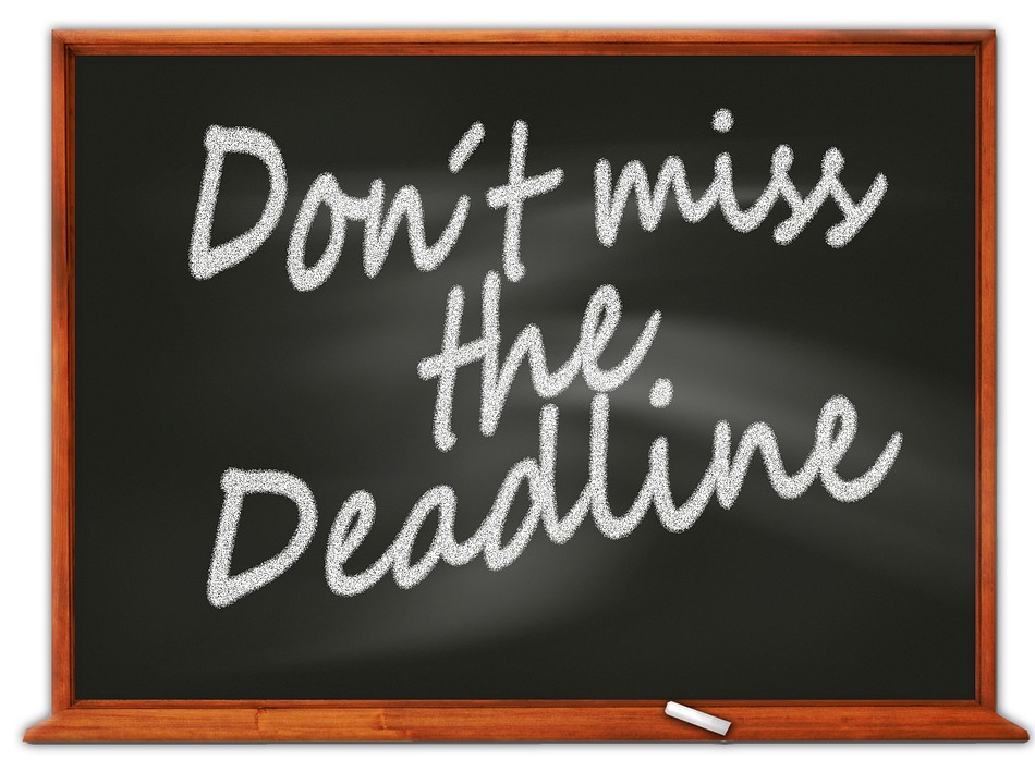 Primary School Admissions Deadline Nears | Newton News Primary School Admissions Deadline Nears | Newton News